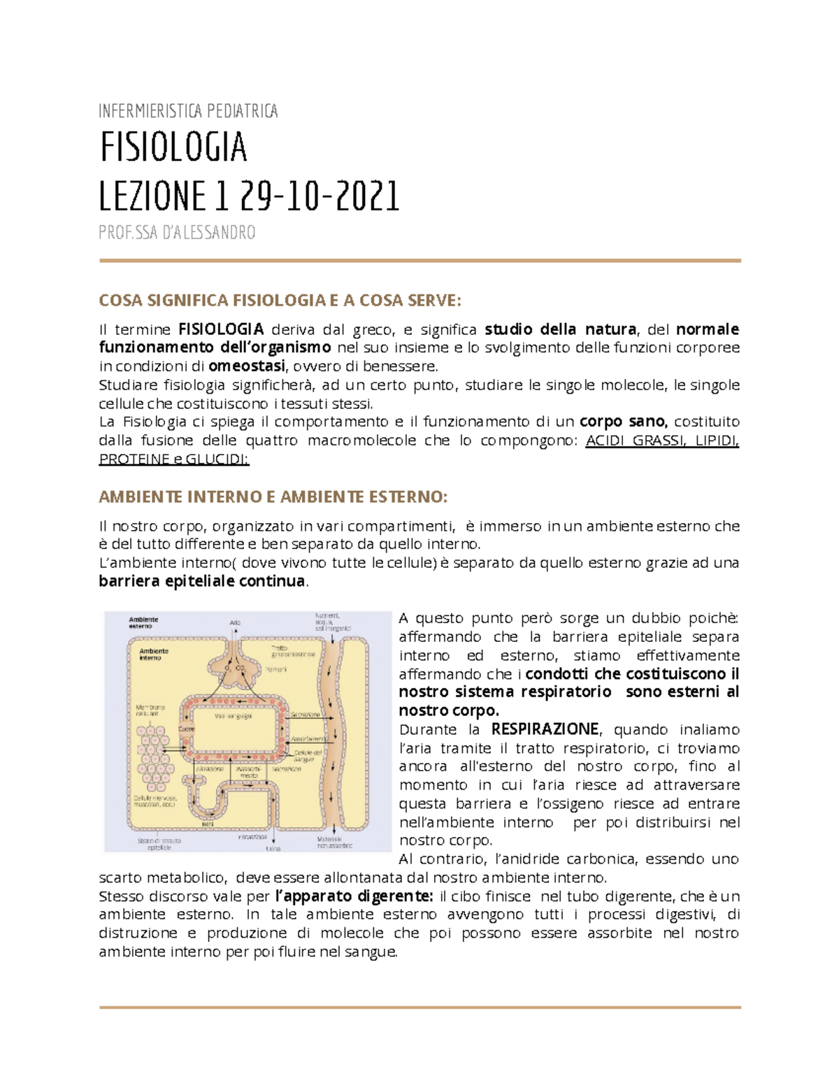 Fisiologia Lezione 1 - INFERMIERISTICA PEDIATRICA FISIOLOGIA LEZIONE 1 ...