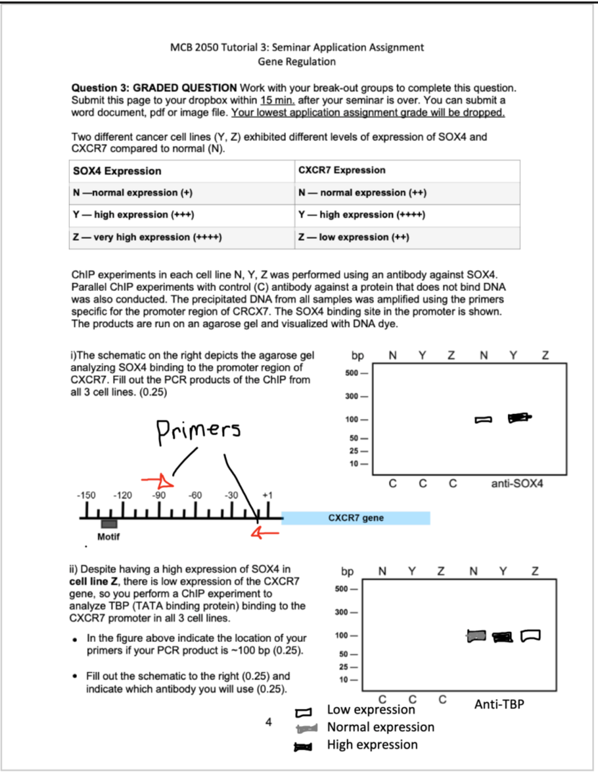 Seminar 3 Graded question - MCB 2050 - Studocu