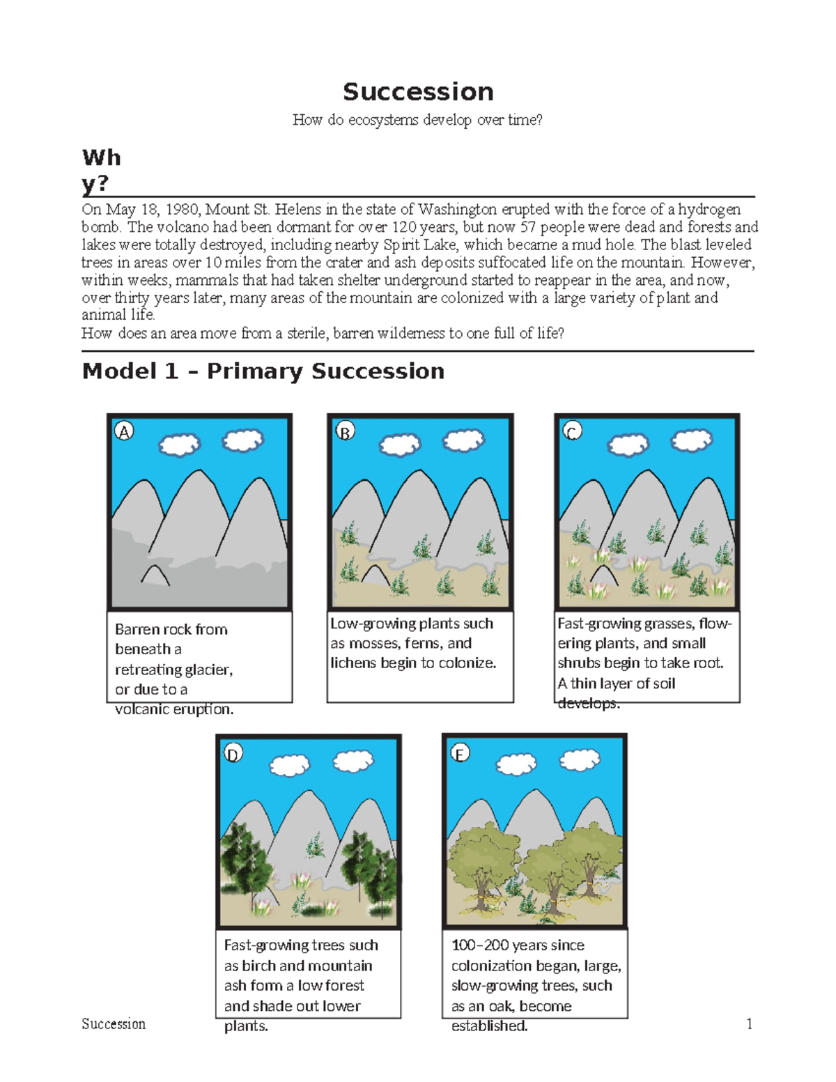Pogil Succession-S - copy of the assignment - Succession 1 Wh y ...