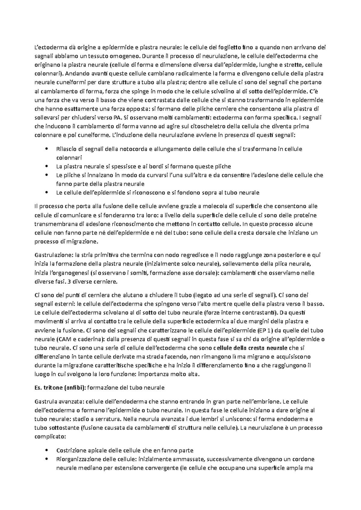 Sviluppo - appunti neurulazione. - L’ectoderma dà origine a epidermide ...