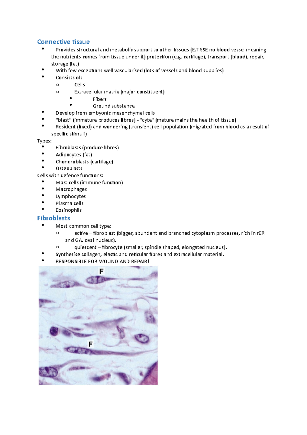 Connective tissue - Lecture notes 2 - Connective tissue Provides ...