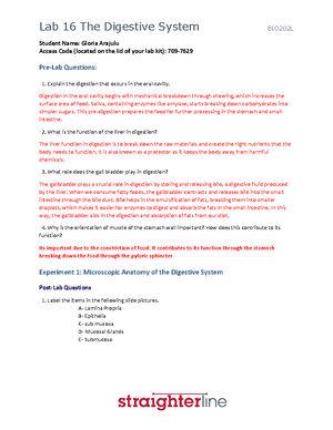 Lab 12 - anatomy 1 and 2 lab stuff - Student Name: Gloria Arajulu ...