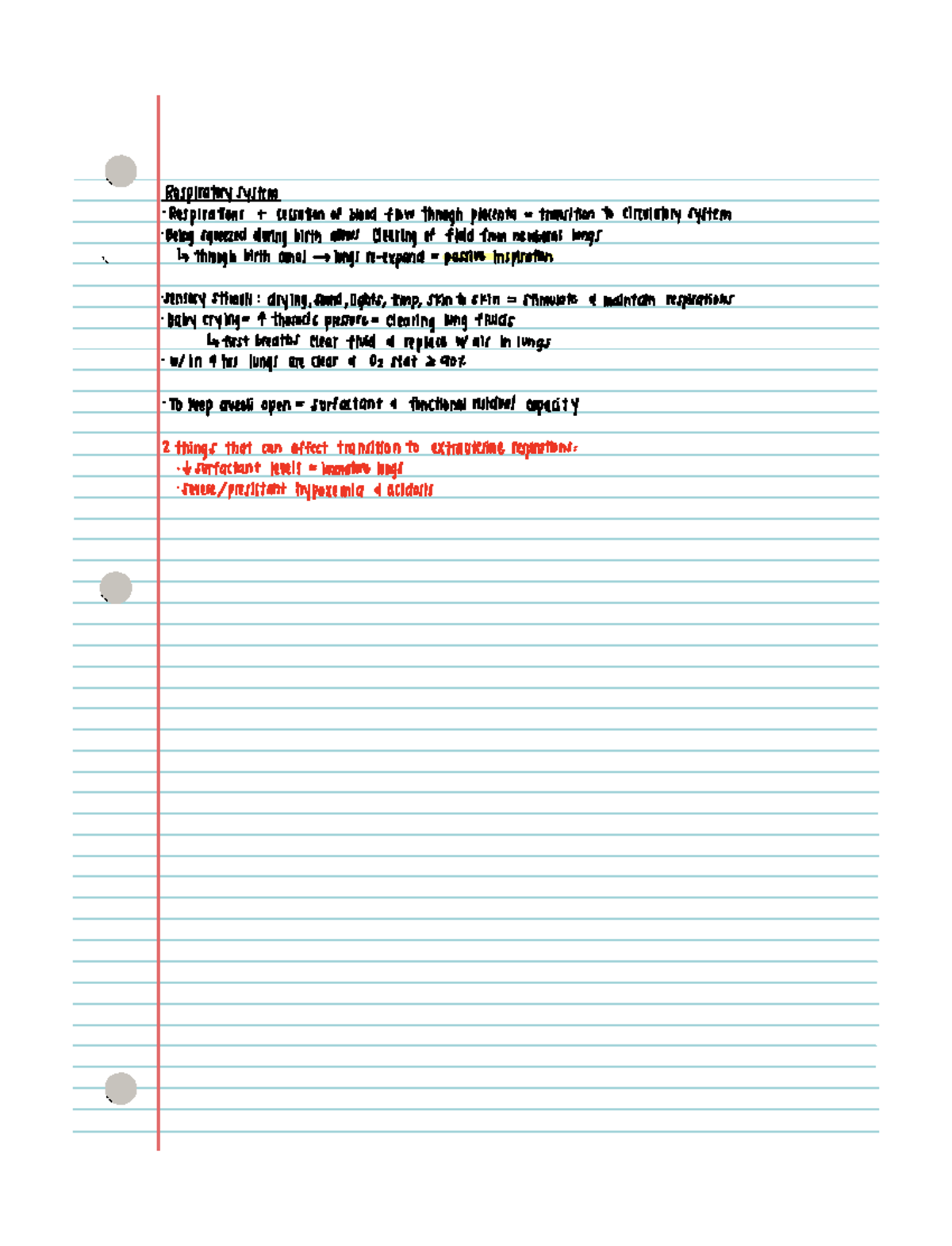 Week 4 notes - Week 4 review - Respiratorysystem Respirations t ...