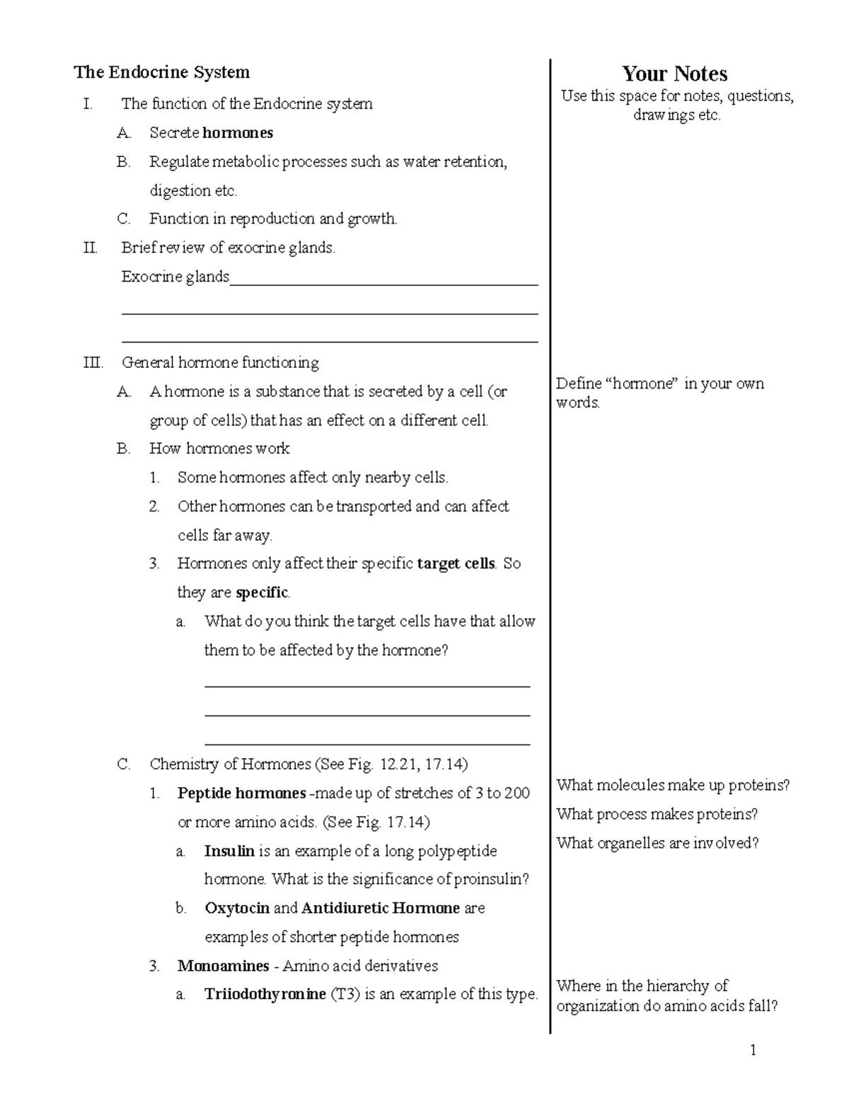The Endocrine System handout-1 - The Endocrine System I. The function ...