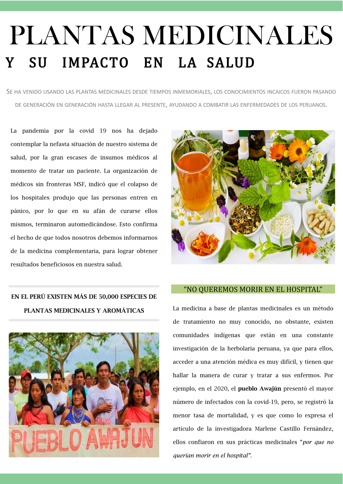 Plantas medicinales y la salud - PLANTAS MEDICINALES Y SU I MPACTO EN ...