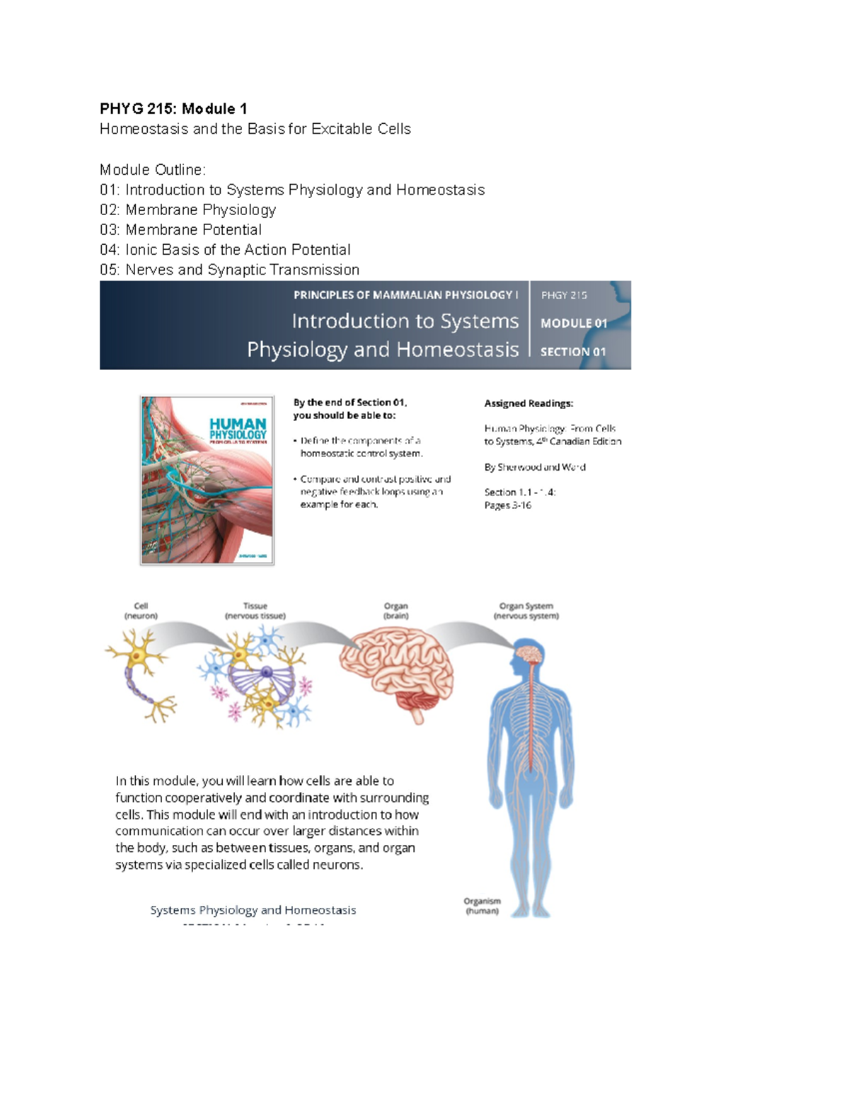 PHGY 215 Module 1 - PHYG 215: Module 1 Homeostasis and the Basis for ...