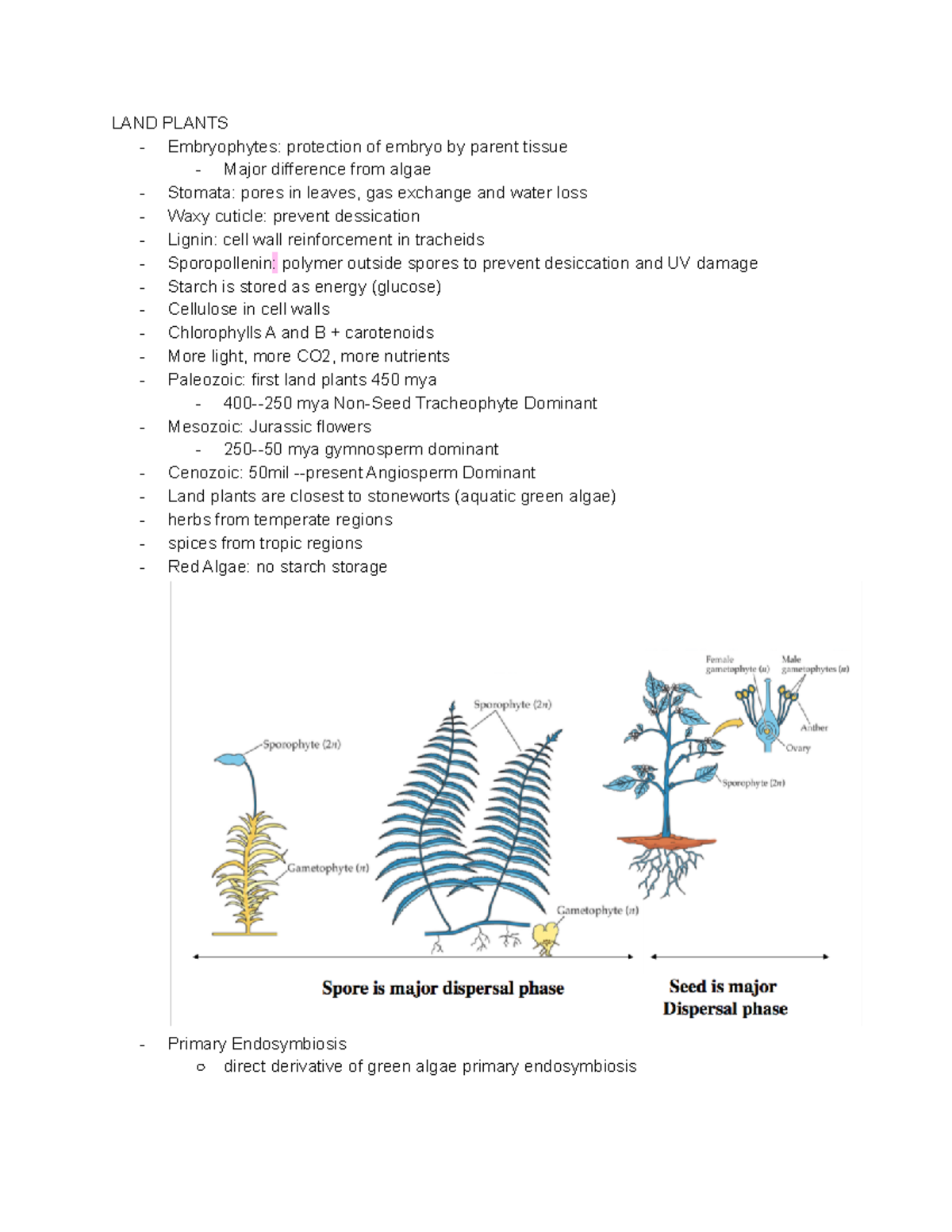 Plants 1-5 - LAND PLANTS Embryophytes: protection of embryo by parent ...