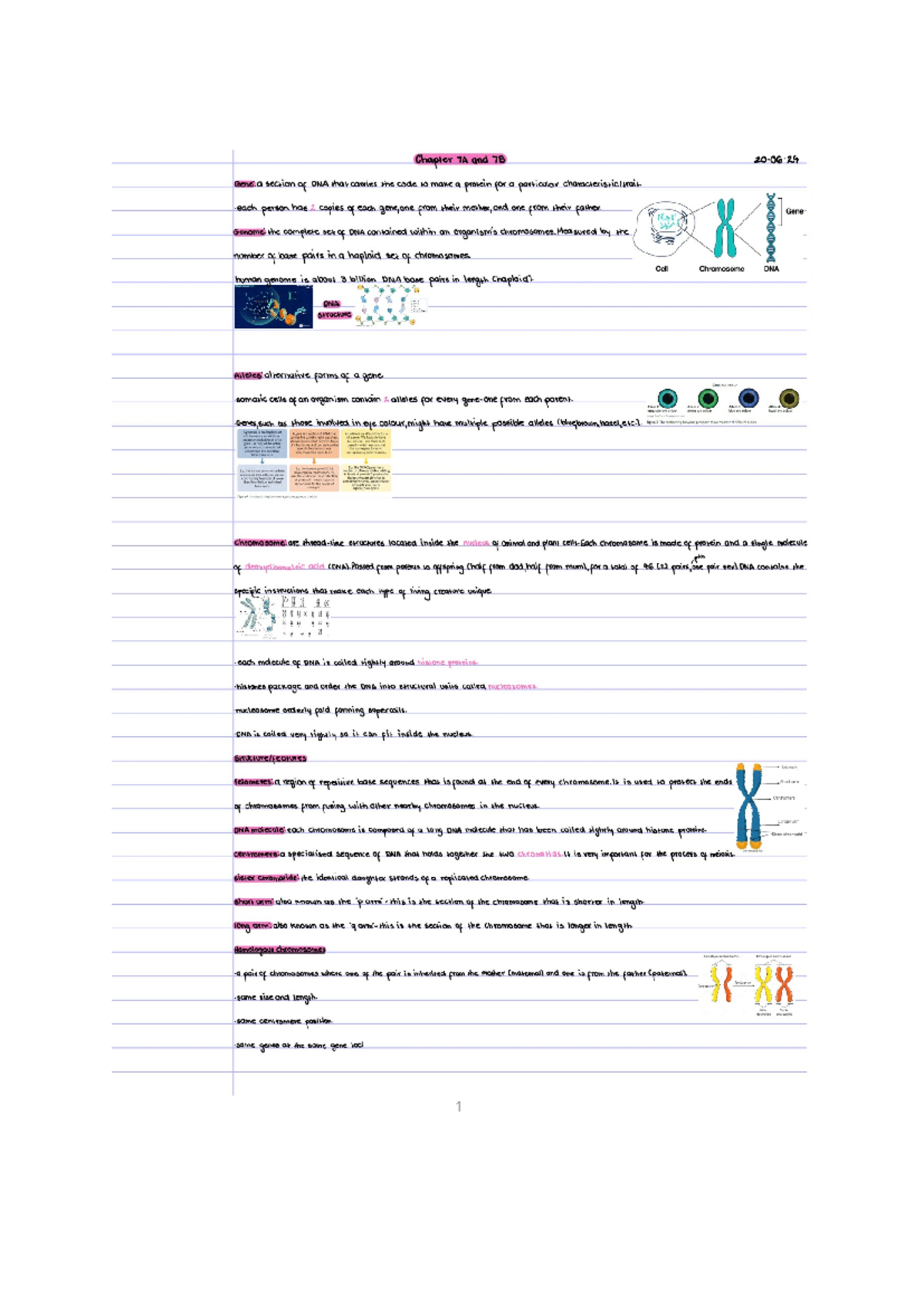 U2aos1 - docs - Chapter 7A and 7B 20.06 Gene a section of DNA that carries the code to make a ...