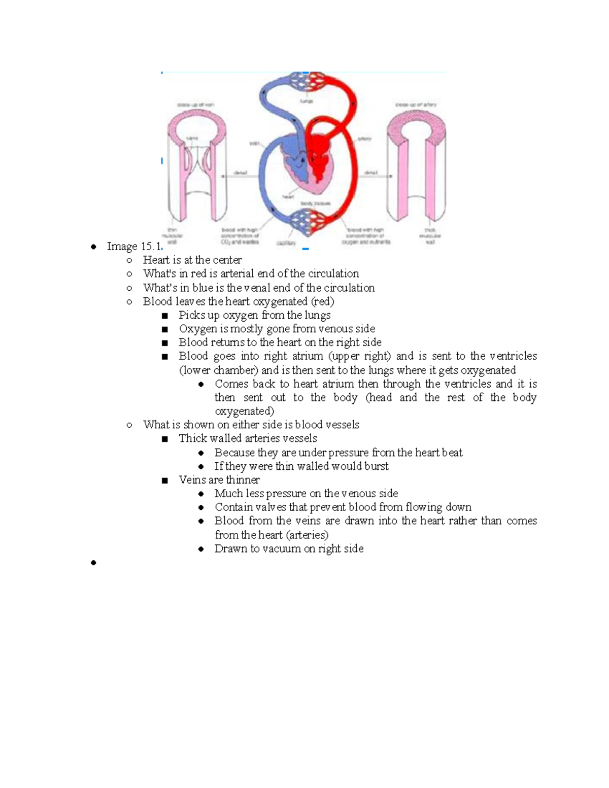 B&B Lec 15 - Lecture notes 15 - Image 15. Heart is at the center What's ...