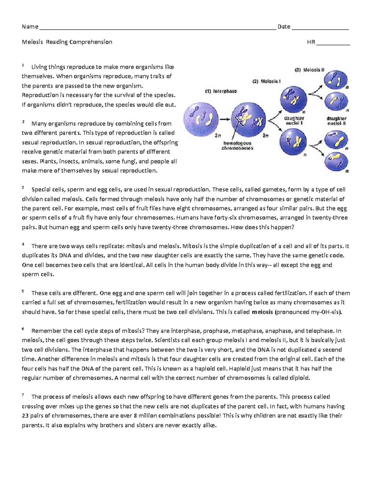 Meiosis Reading Comprehension - Studocu