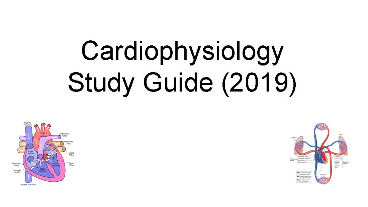 Exam 3 - Cardiophysiology Study Guide + Practice Q's - Cardiophysiology ...