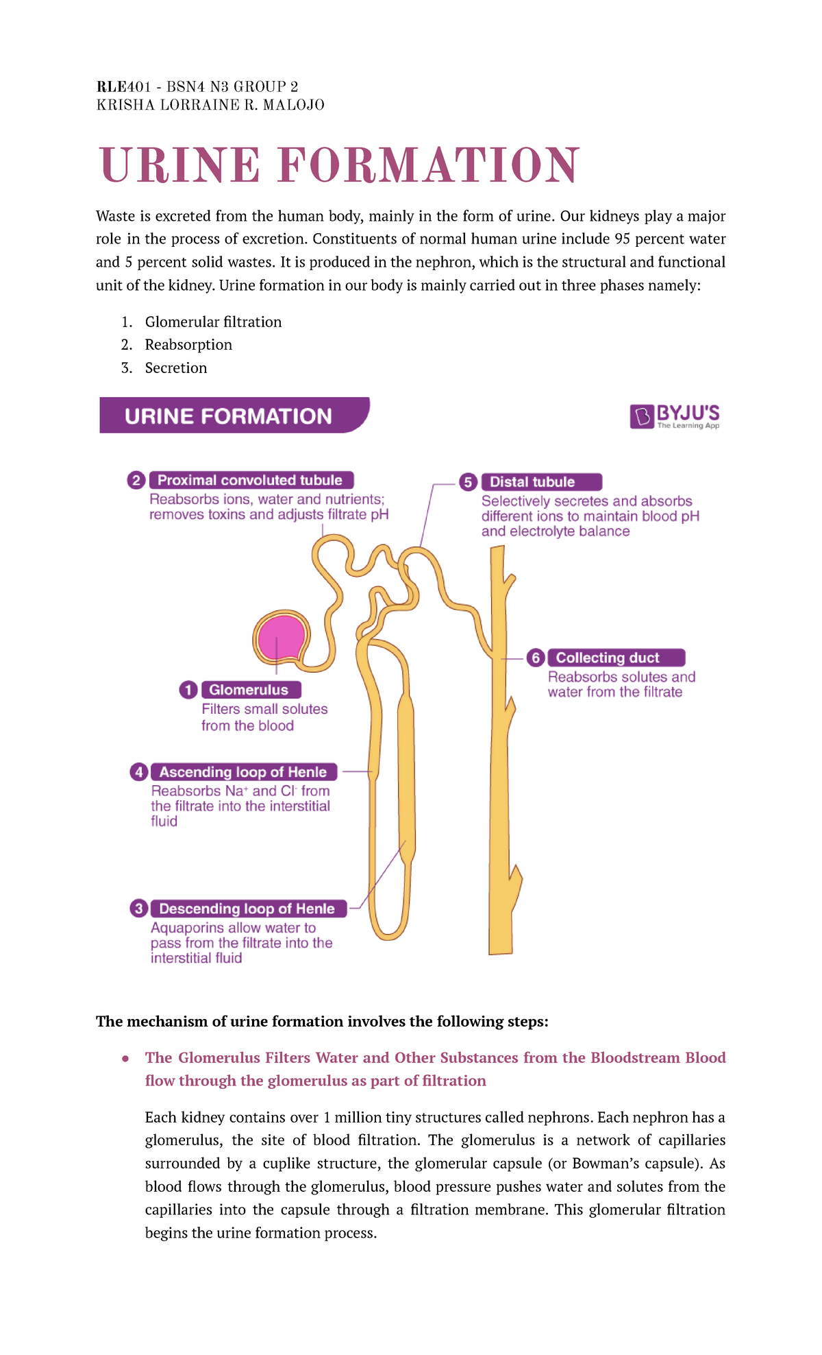 Urine Formation - RLE401 - BSN4 N3 GROUP 2 KRISHA LORRAINE R. MALOJO ...