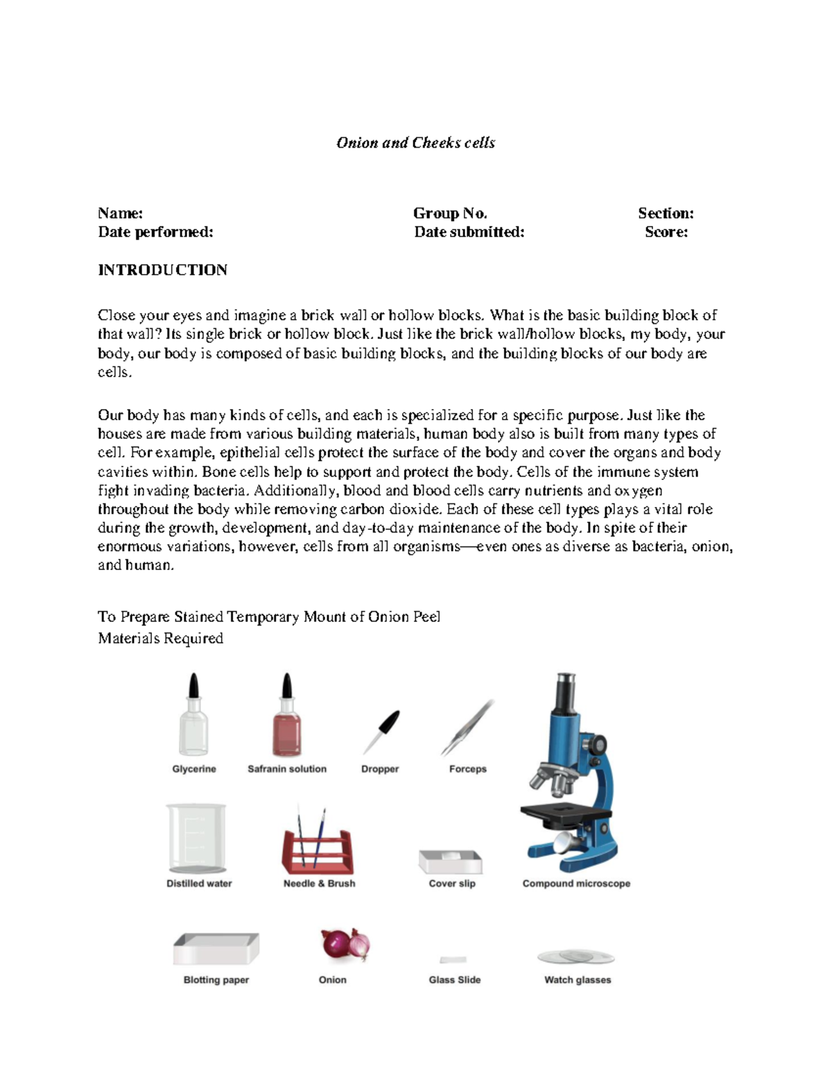 Onion and Cheeks cells - Biochem Lab - Onion and Cheeks cells Name ...