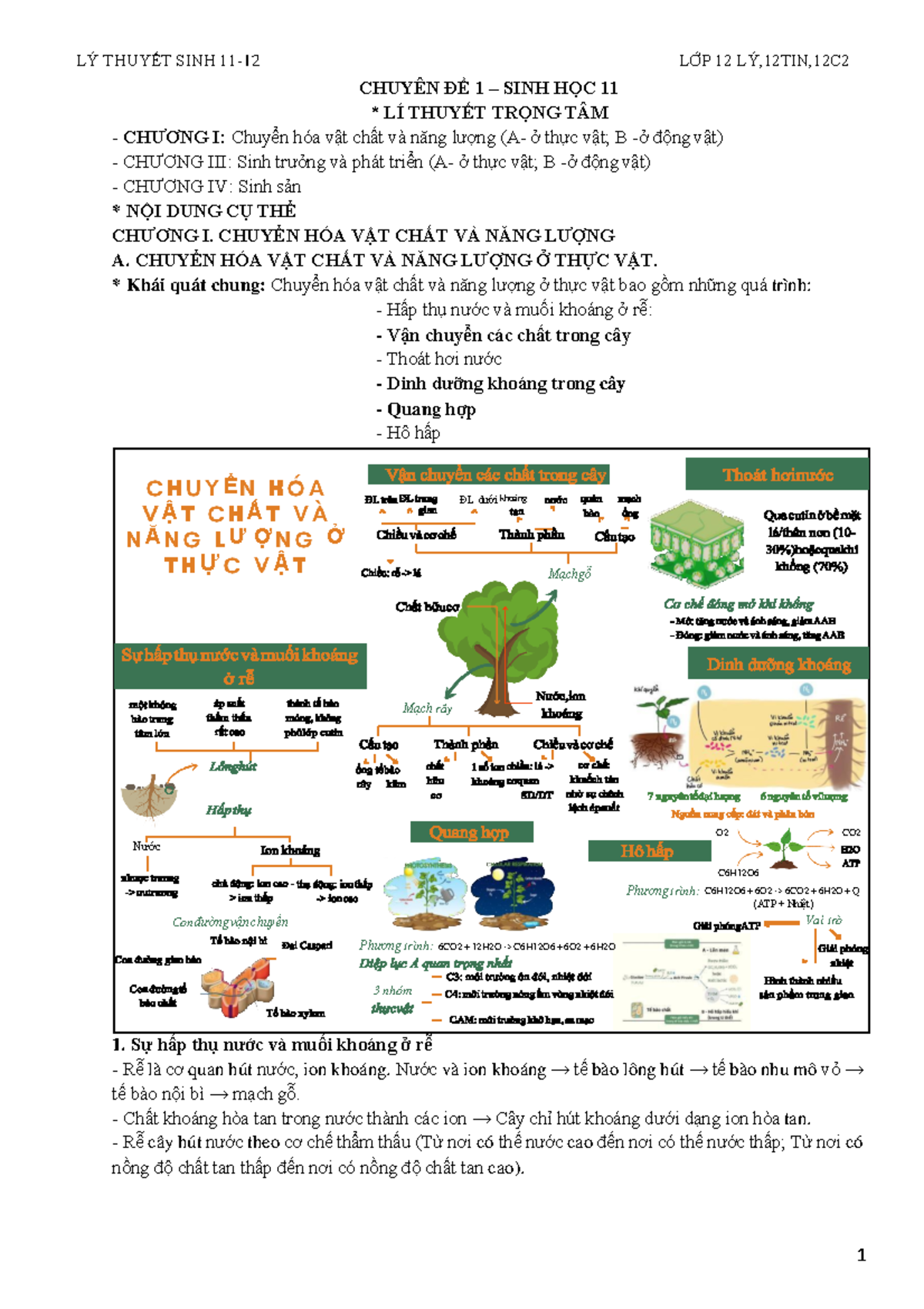 LÝ THUYẾT SINH DGNL - ly thuyet sinh on thi dgnl dhqg tp hcm - LÝ ...
