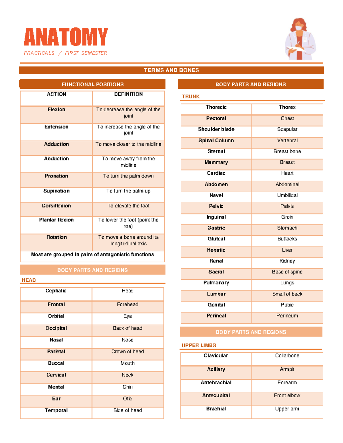 Anatomy- Terms- Bones - The name of each bone - TERMS AND BONES ...