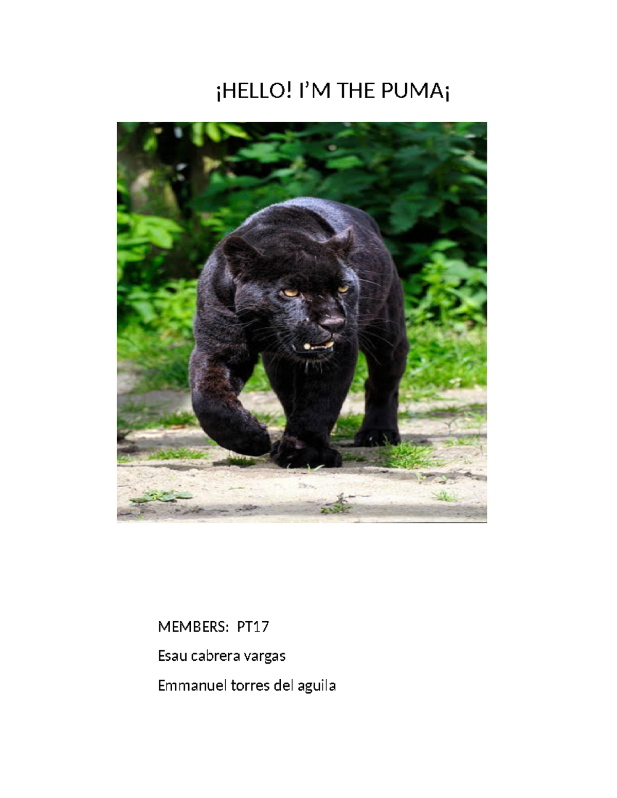 Avance Ingles 1 puma - ¡HELLO! I’M THE PUMA¡ MEMBERS: PT Esau cabrera ...