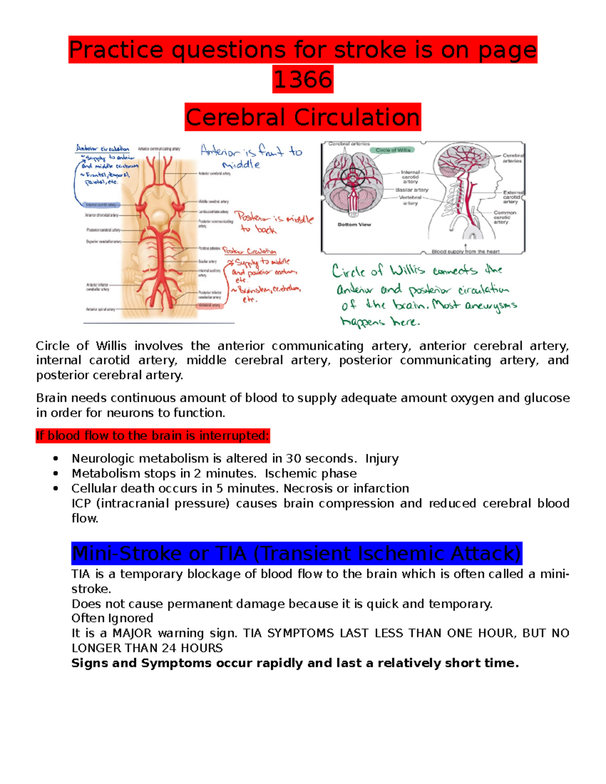 Cerebral Circulation - study material - Practice questions for stroke ...