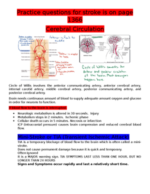 Renal Cheatsheet - Kidney Function (A WET BED): Acid-Base Balance ...