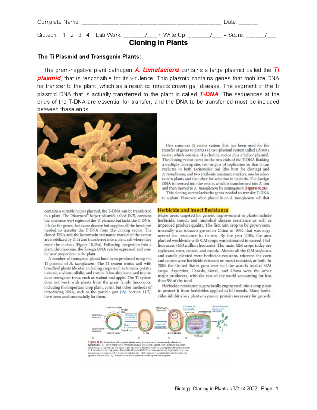 19 Cloning In plants biology - Biotech: 1 2 3 4 Lab Work: ____/ + Write ...