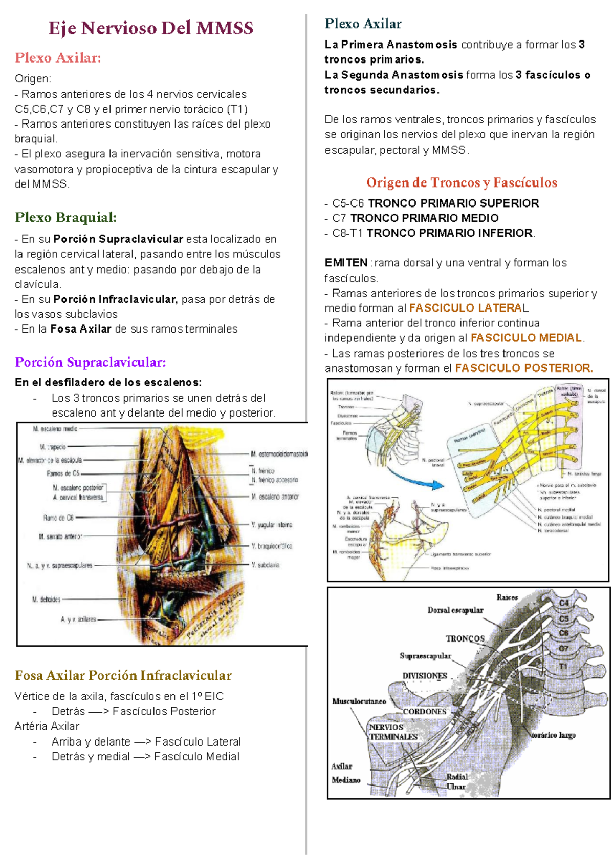 Eje Vasculo Nervioso MMSS - Eje Nervioso Del MMSS Plexo Axilar: Origen ...