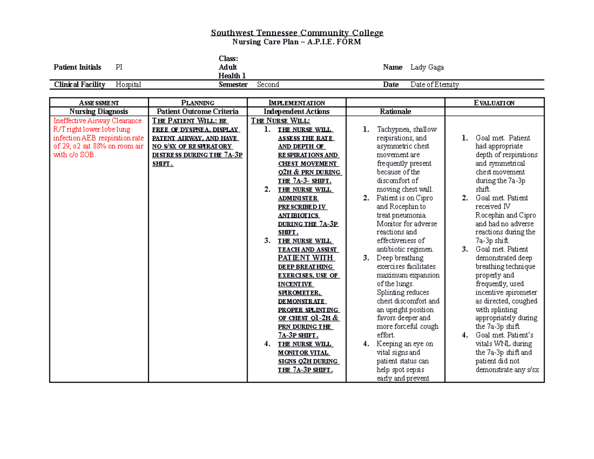 ADPIE notes for nursing - Nursing Care Plan ~ A.P.I. FORM Patient ...