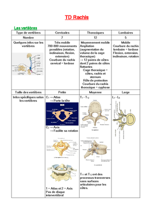 Anatomie descriptive et fonctionnelle du système locomoteur - Anatomie ...