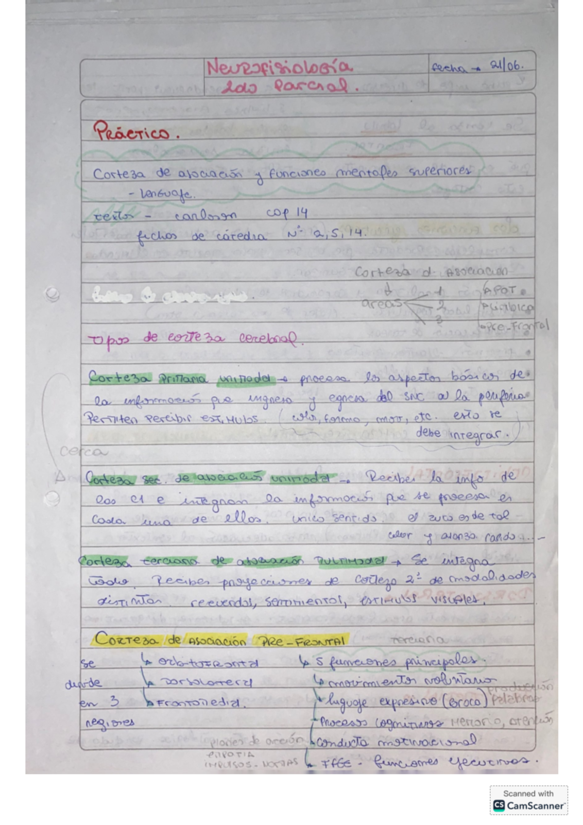 2p neuro - Neuroxisiolosia fecha low parcial. Practico. Corteza ...