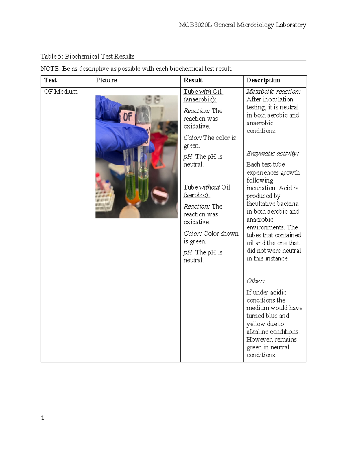 Class Activity 5 - Lab - Table 5: Biochemical Test Results NOTE: Be as ...