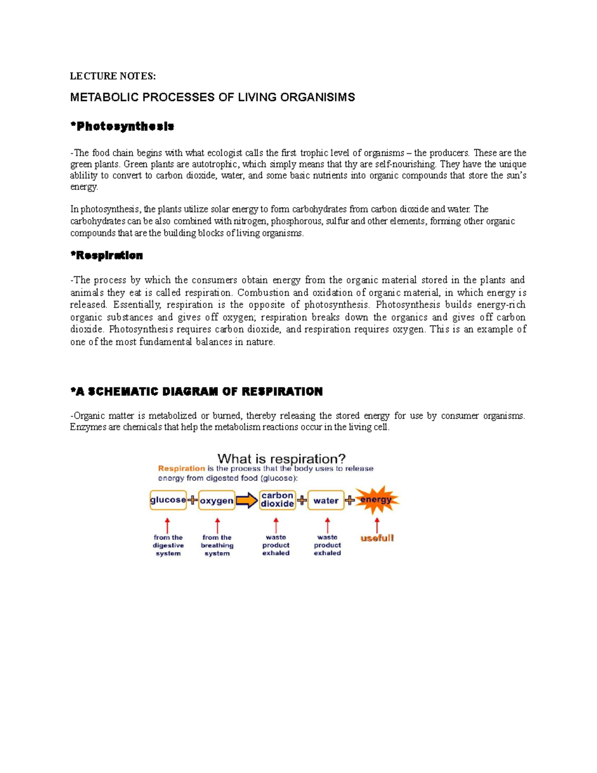 Photosynthesis AND Respiration - LECTURE NOTES: METABOLIC PROCESSES OF ...