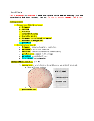 Lab practical #3 bone models - BoneModel shud Frontal Sphenoid Ethmoid ...