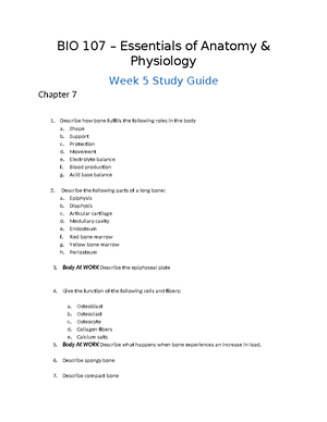 Chapter 7-9- Anatomy - BIO 107 – Essentials of Anatomy & Physiology ...