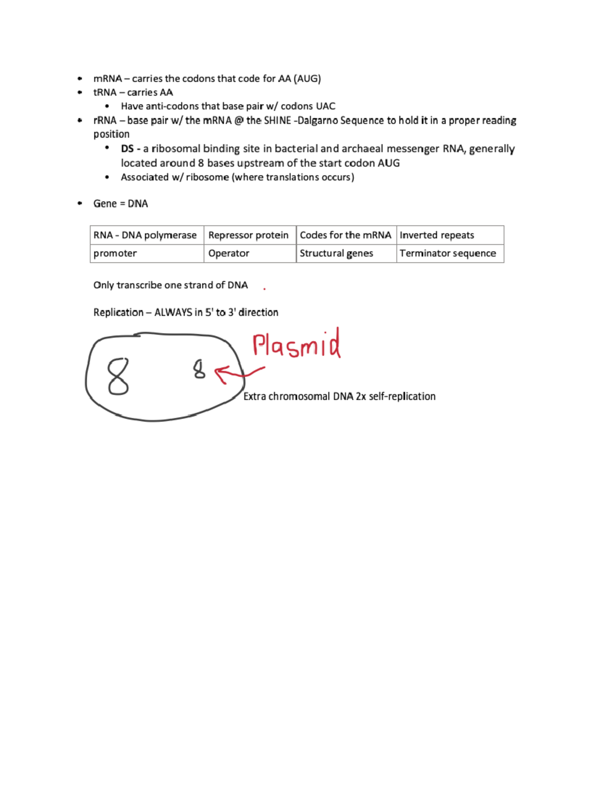 DNA, RNA Notes - Different types of RNA and its characteristics. - BIOL ...