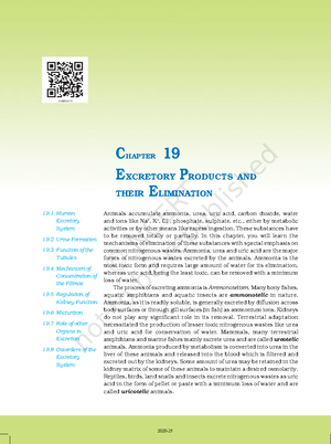 Javaprograms 2 - java programming - To identify the system's IP address ...