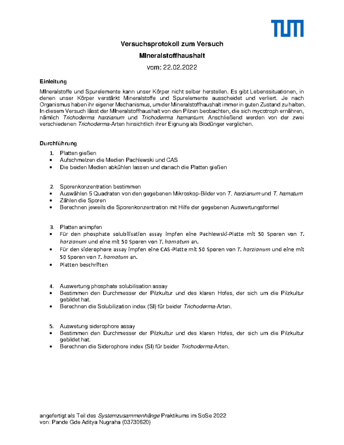 Versuchsprotokoll-Template - angefertigt als Teil des ...