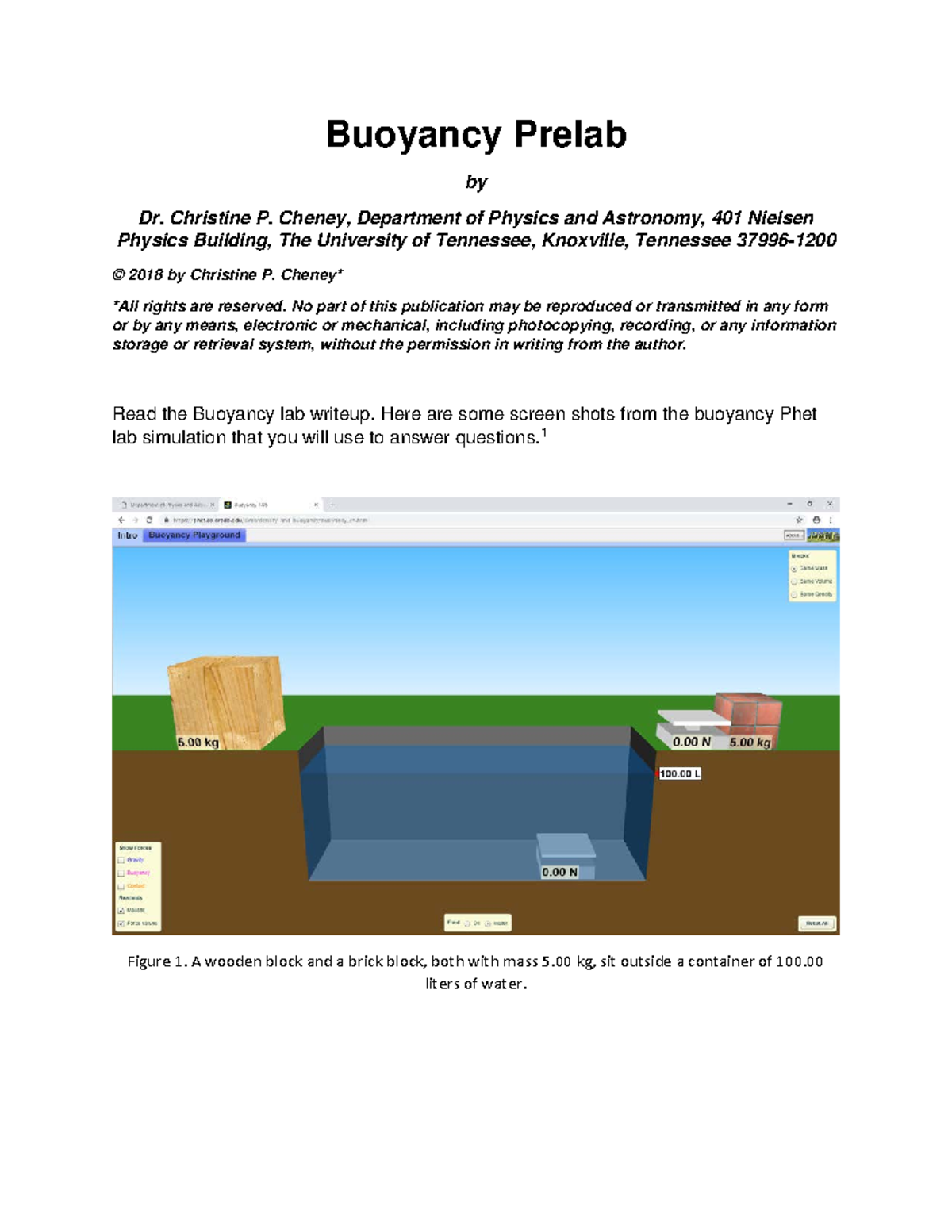 Buoyancy Prelab - Buoyancy Prelab by Dr. Christine P. Cheney ...