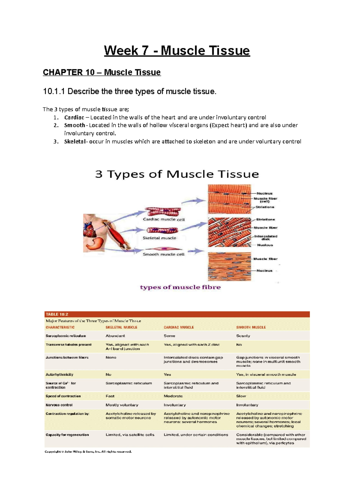 Week 7 notes - Week 7 - Muscle Tissue CHAPTER 10 – Muscle Tissue 10.1 ...