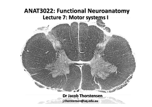 ANAT3022 Notes Part 4 - Lecture 15: Prefrontal Cortex Frontal Lobotomy ...