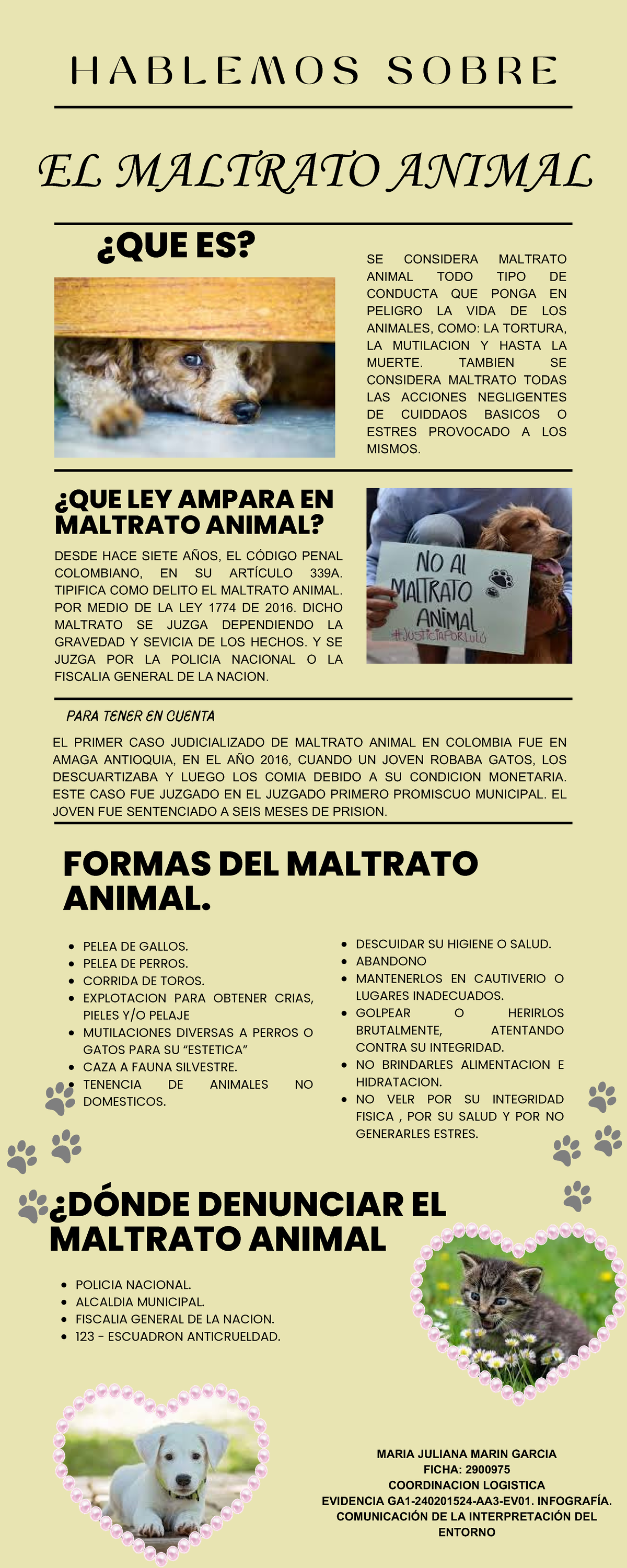 Evidencia GA1-2402015 24-AA3-EV01 - EL MALTRATO ANIMAL H A B L E M O S S O B R E ¿QUE ES? SE ...