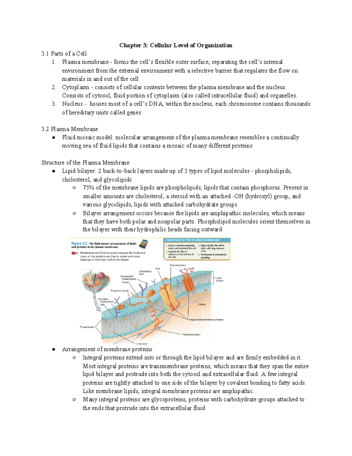 Chapter 3: Cellular Level - Chapter 3: Cellular Level of Organization 3 ...