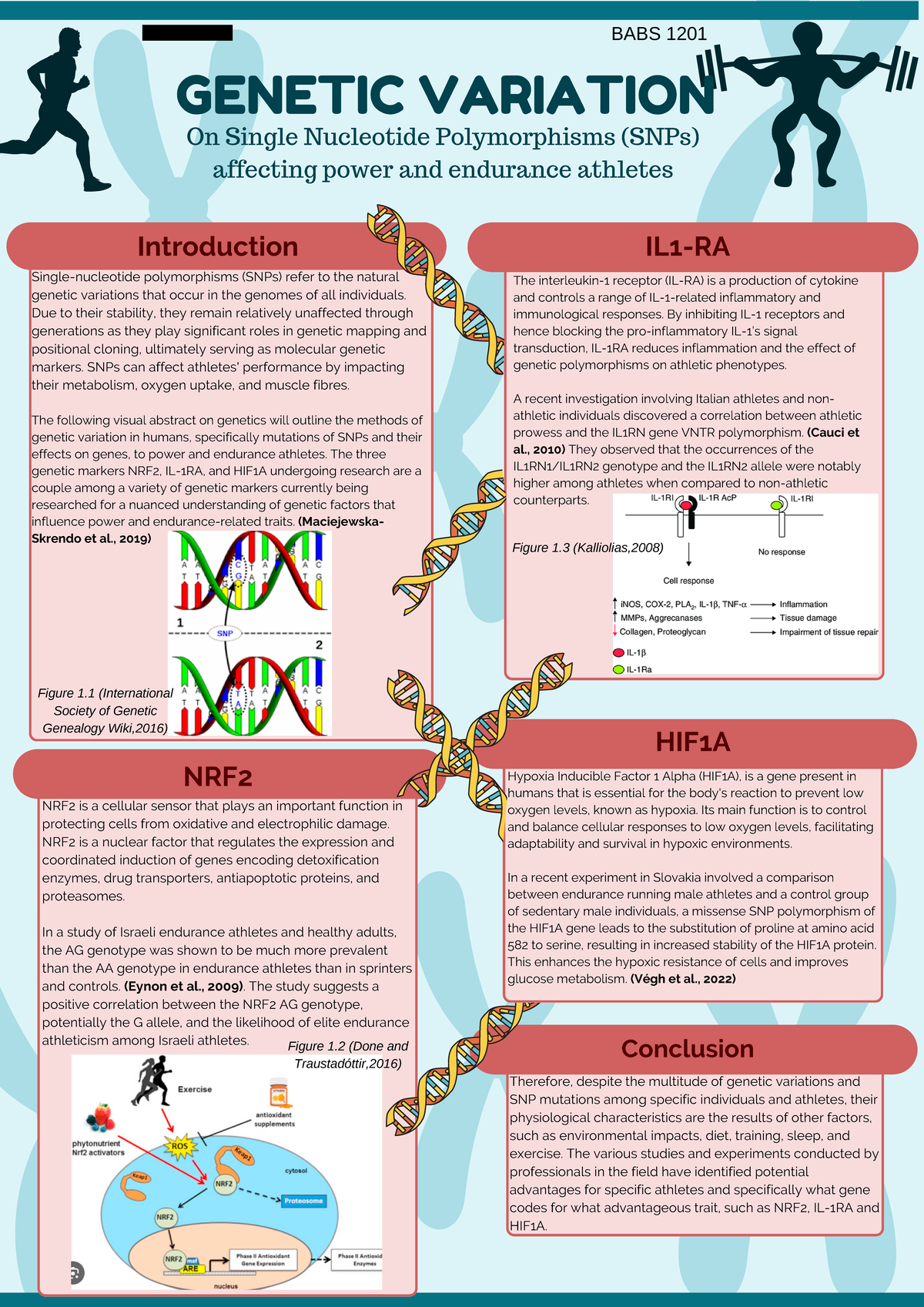 BABS 1201 - Science Communication Project (Poster) - Therefore, despite ...