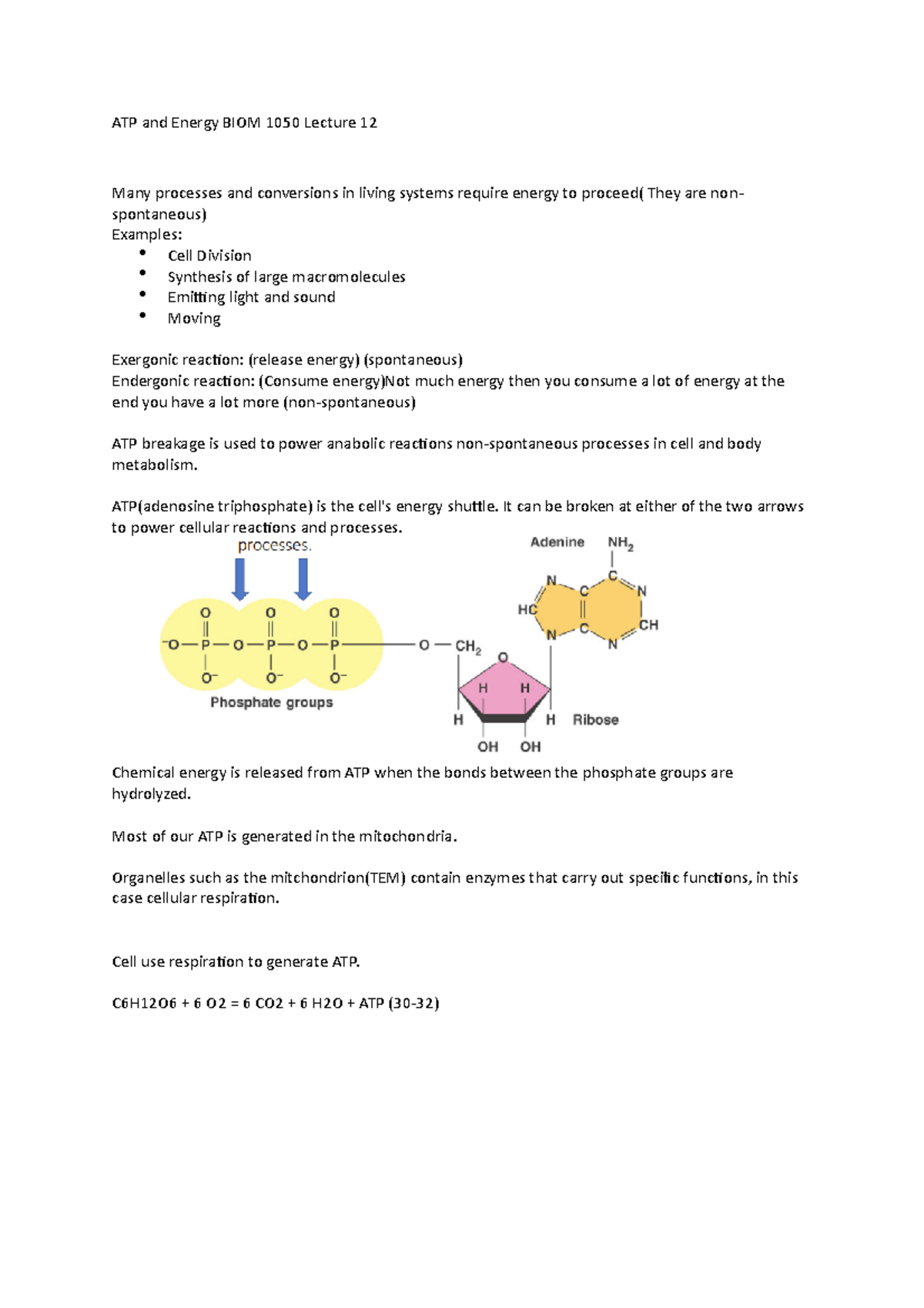 ATP and Energy BIOM 1050 Lecture 12 - ATP and Energy BIOM 1050 Lecture ...