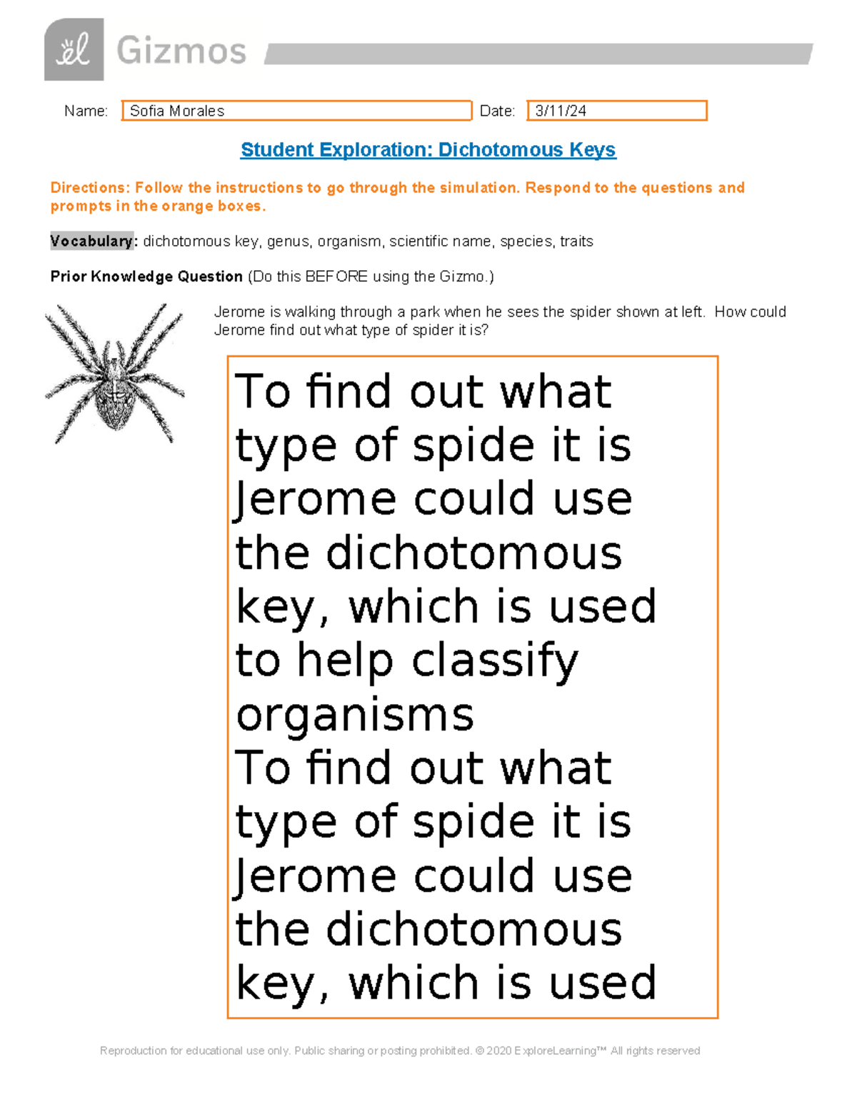 Copy of Dichotomous Keys SE - Name: Sofia Morales Date: 3/11/ Student ...