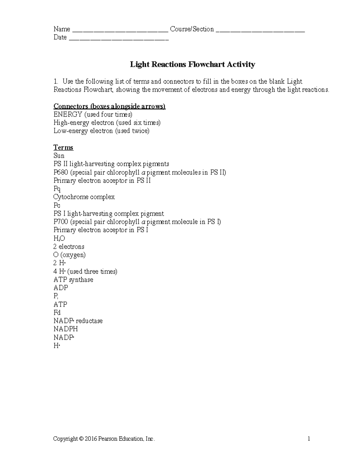 Light Reactions Flowchart Activity - Name ...