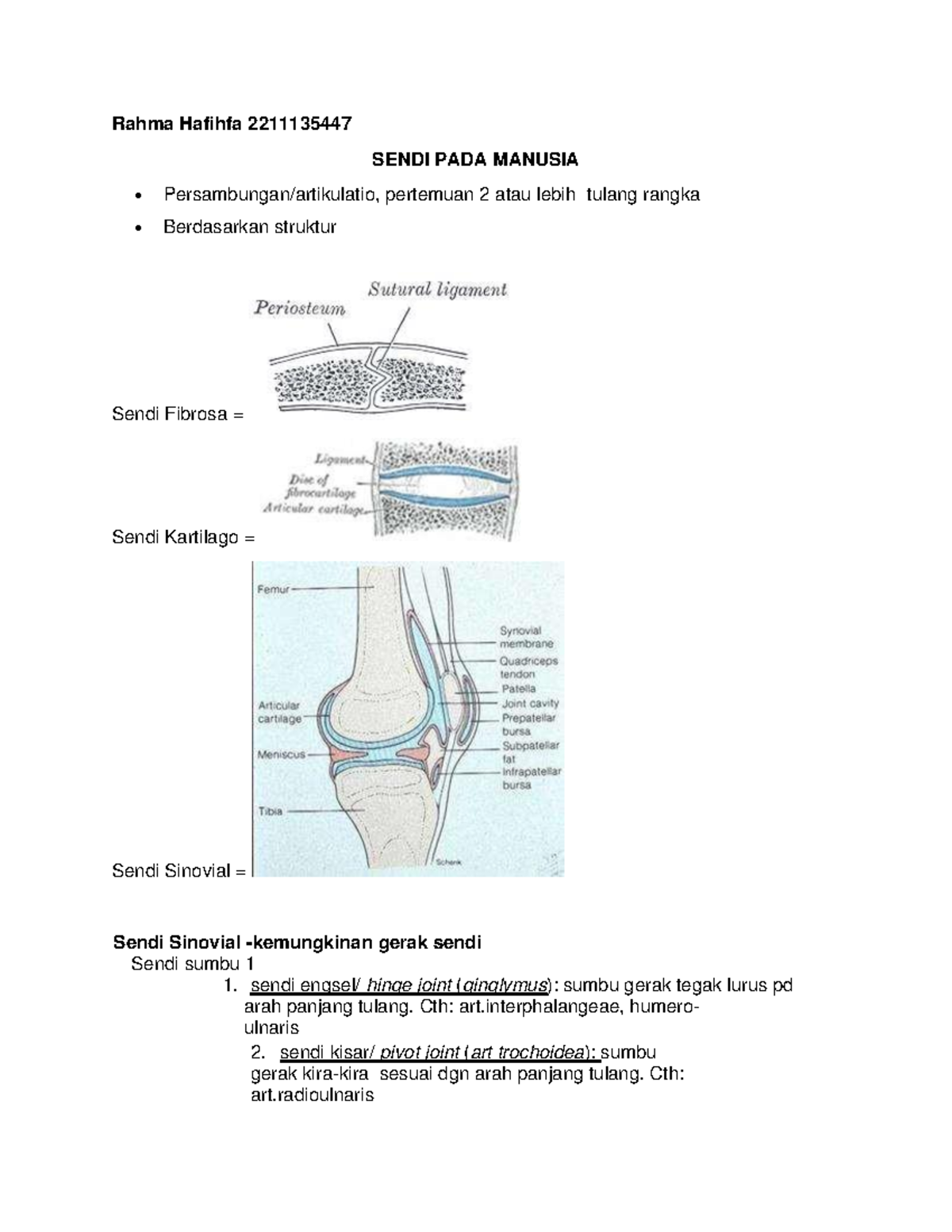 Sendi Pada Manusia - Rahma Hafihfa 2211135447 SENDI PADA MANUSIA ...