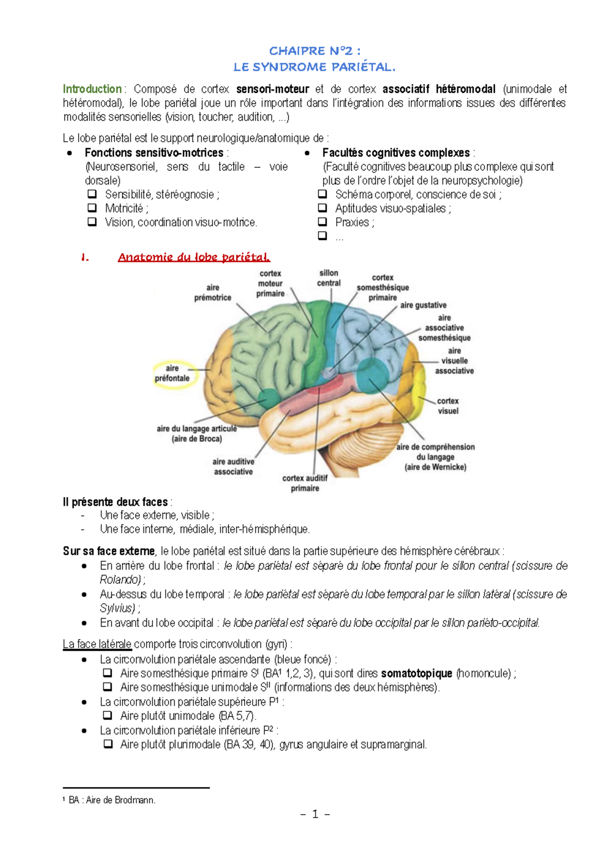 Chapitre n°2 - Le Syndrome Pariétal - CHAIPRE N∞2 : LE SYNDROME PARI ...