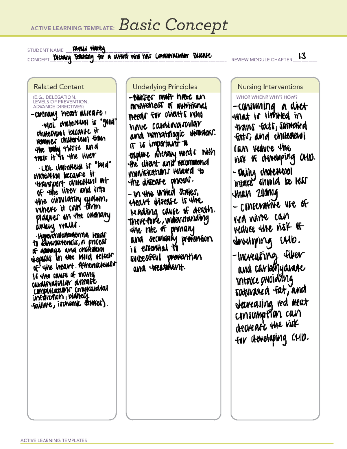 Basic+Concept blank - ATI basic concept - ACTIVE LEARNING TEMPLATES ...