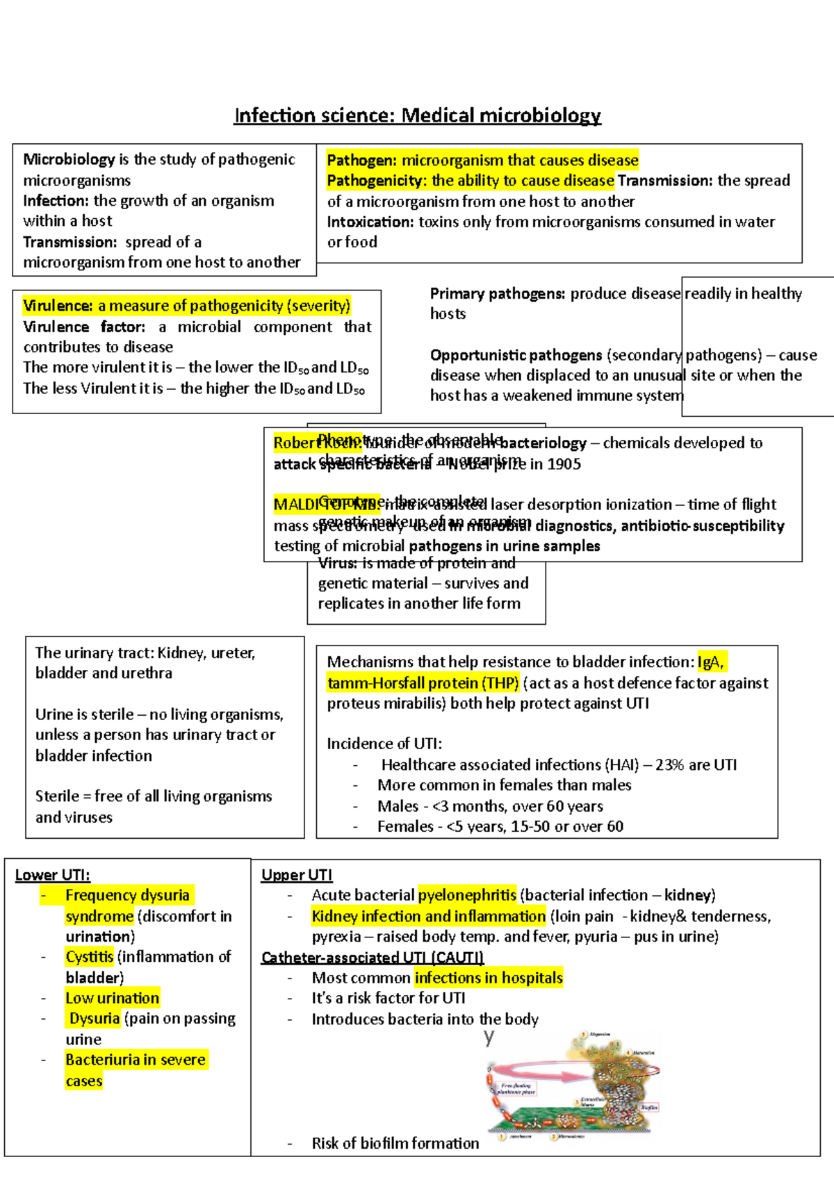 Medical microbiology & UTI 1 - Infection science: Medical microbiology ...