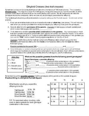 Handout DNA and DNA Replication Webquest - DNA & DNA Replication ...