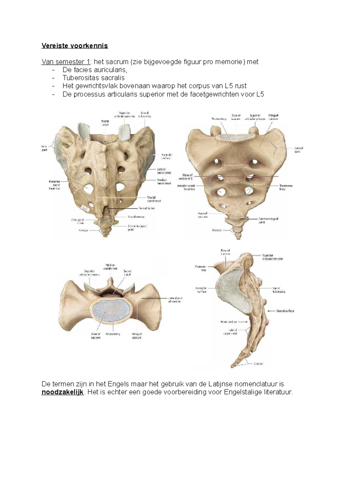 Les 2 het heupgewricht+ligamenten - Vereiste voorkennis Van semester 1 ...