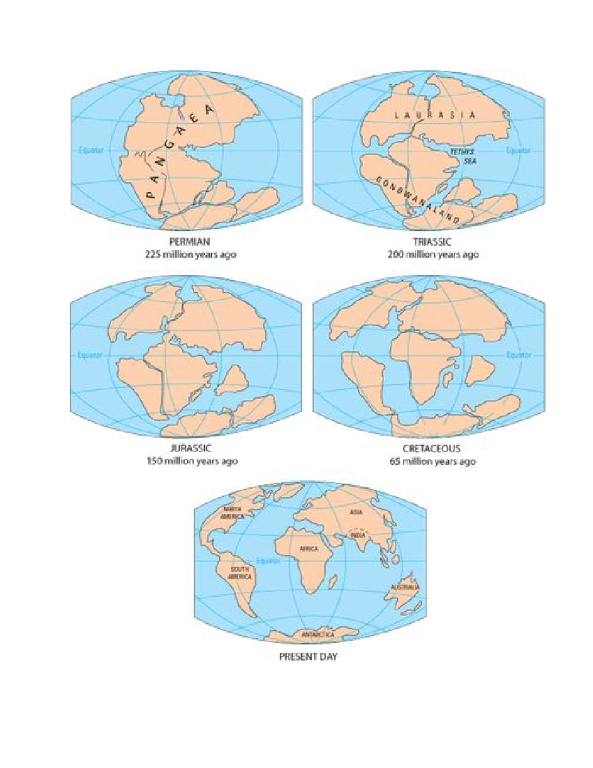 pangea and dinosaurs - What was Pangea? From about 280-230 million years ago (Late Paleozoic Era ...